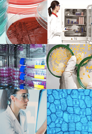 CO2 Incubator Resource Guide | Lab Manager